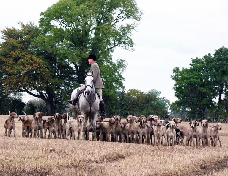 Ward Union Hunt
