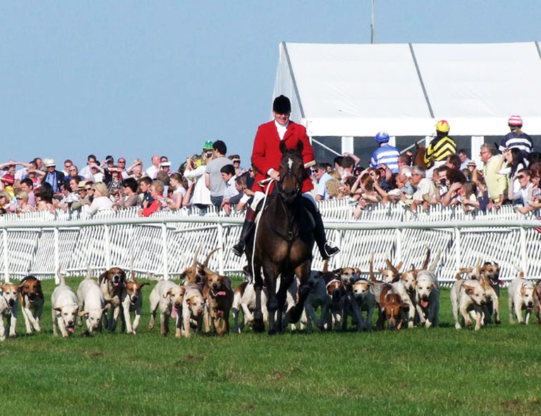 Ward Union Hunt